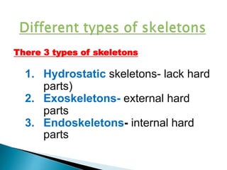 Ms T.J Mkhize support in animal and plant | PPT
