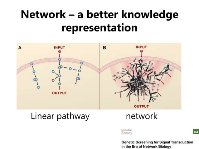 Novel network pharmacology methods for drug mechanism of action ...