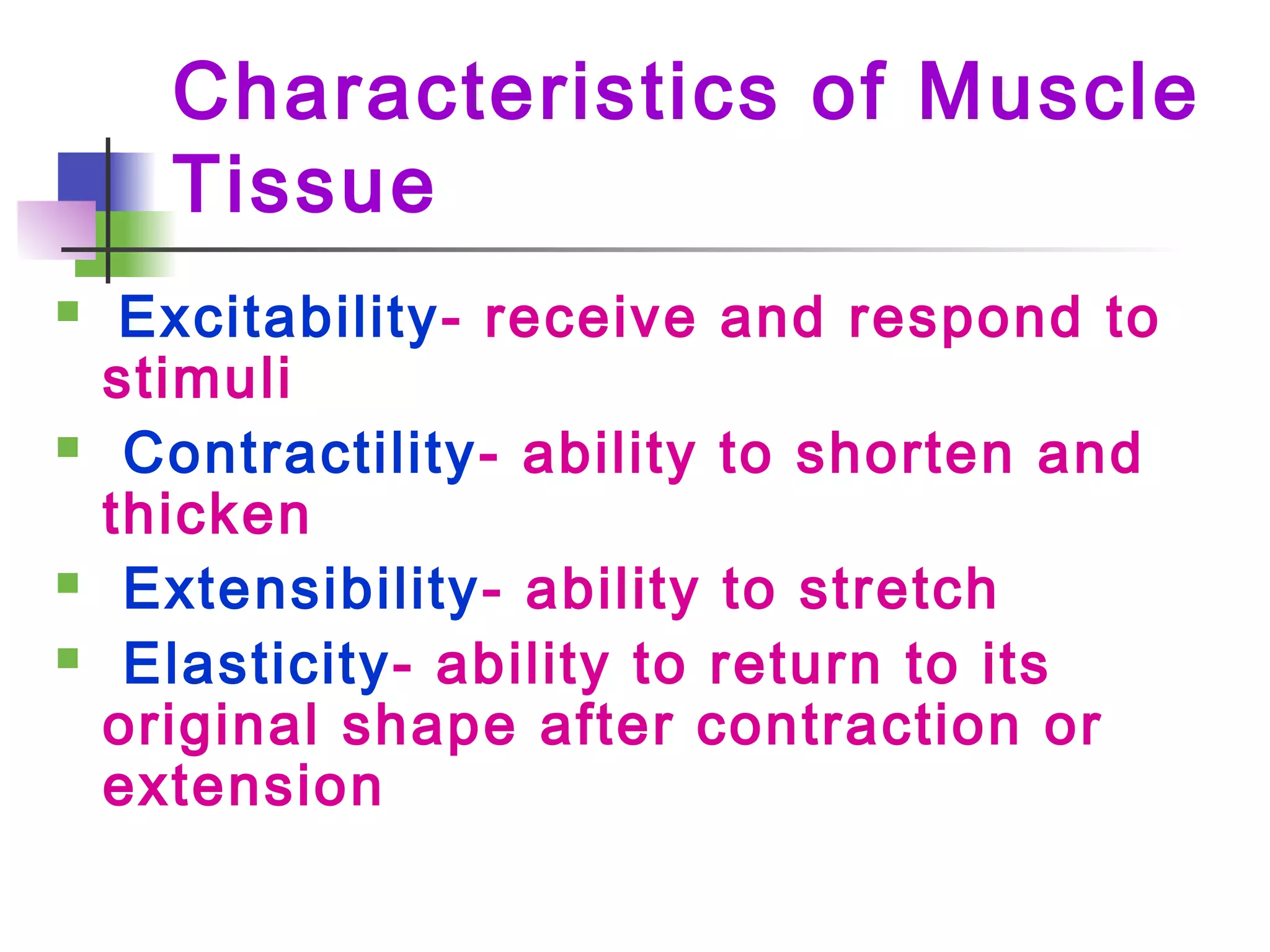 2011 anatomy training powerpoint | PPT