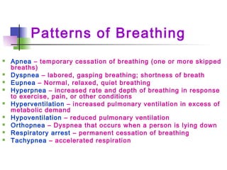 2011 anatomy training powerpoint | PPT