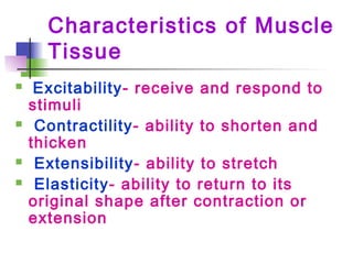 2011 anatomy training powerpoint | PPT