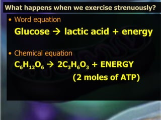 Word Equation For Respiration