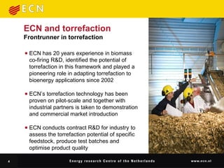 Torrefaction | PDF | Chemistry | Science