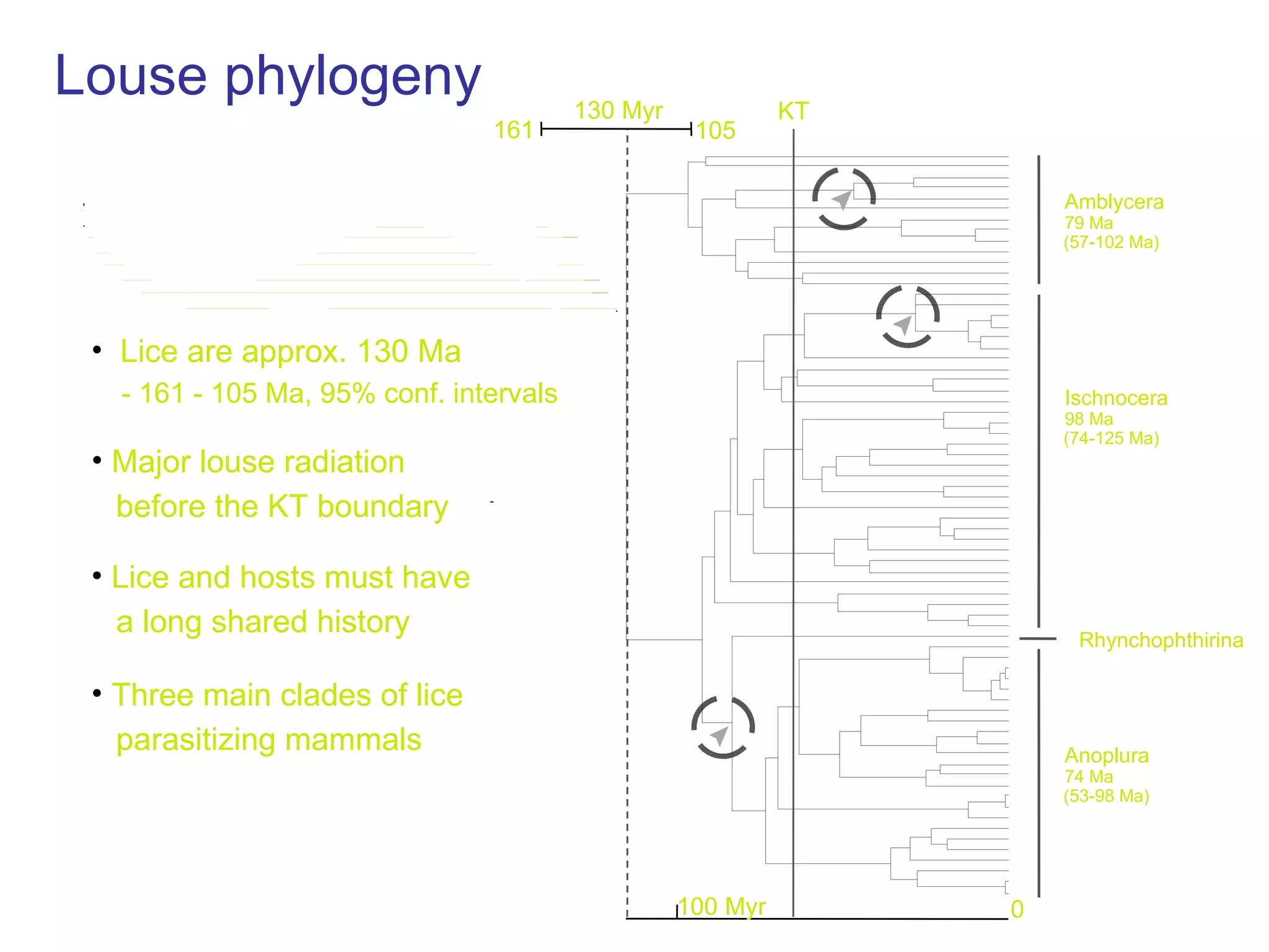 A timescale for the evolution of lice | PPT