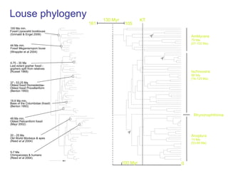 A timescale for the evolution of lice | PPT