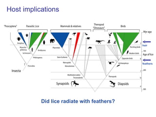 A timescale for the evolution of lice | PPT