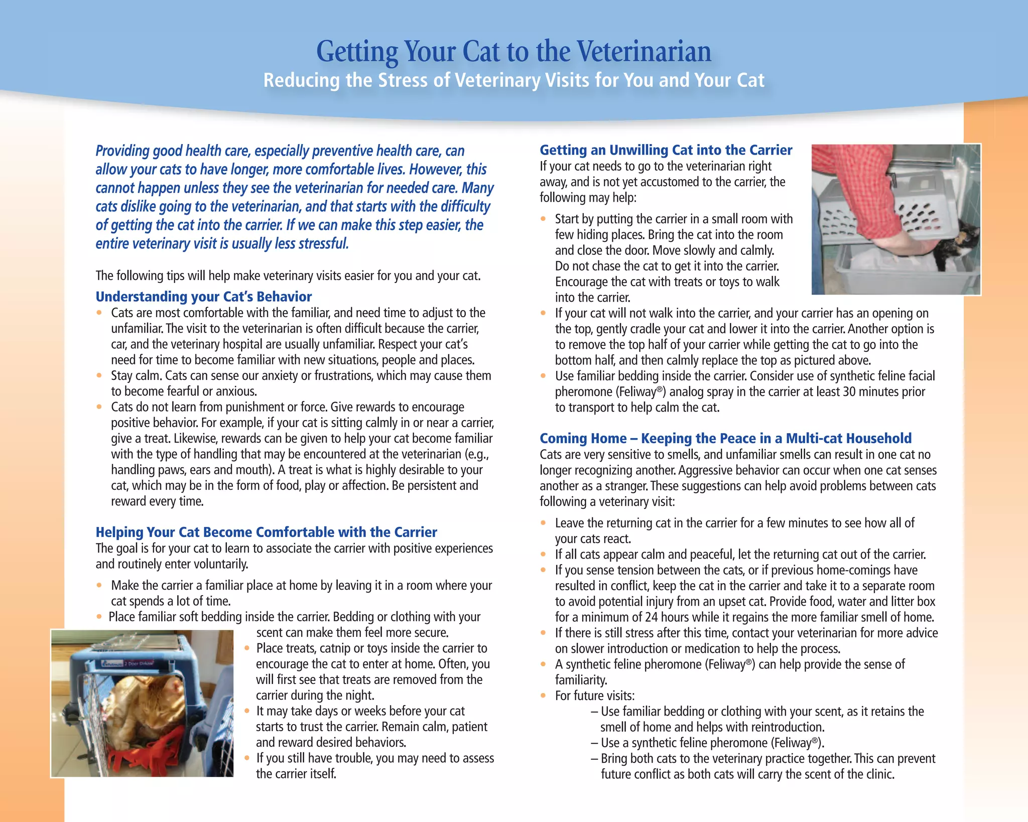 2011 feline _friendly_client_handout | PDF