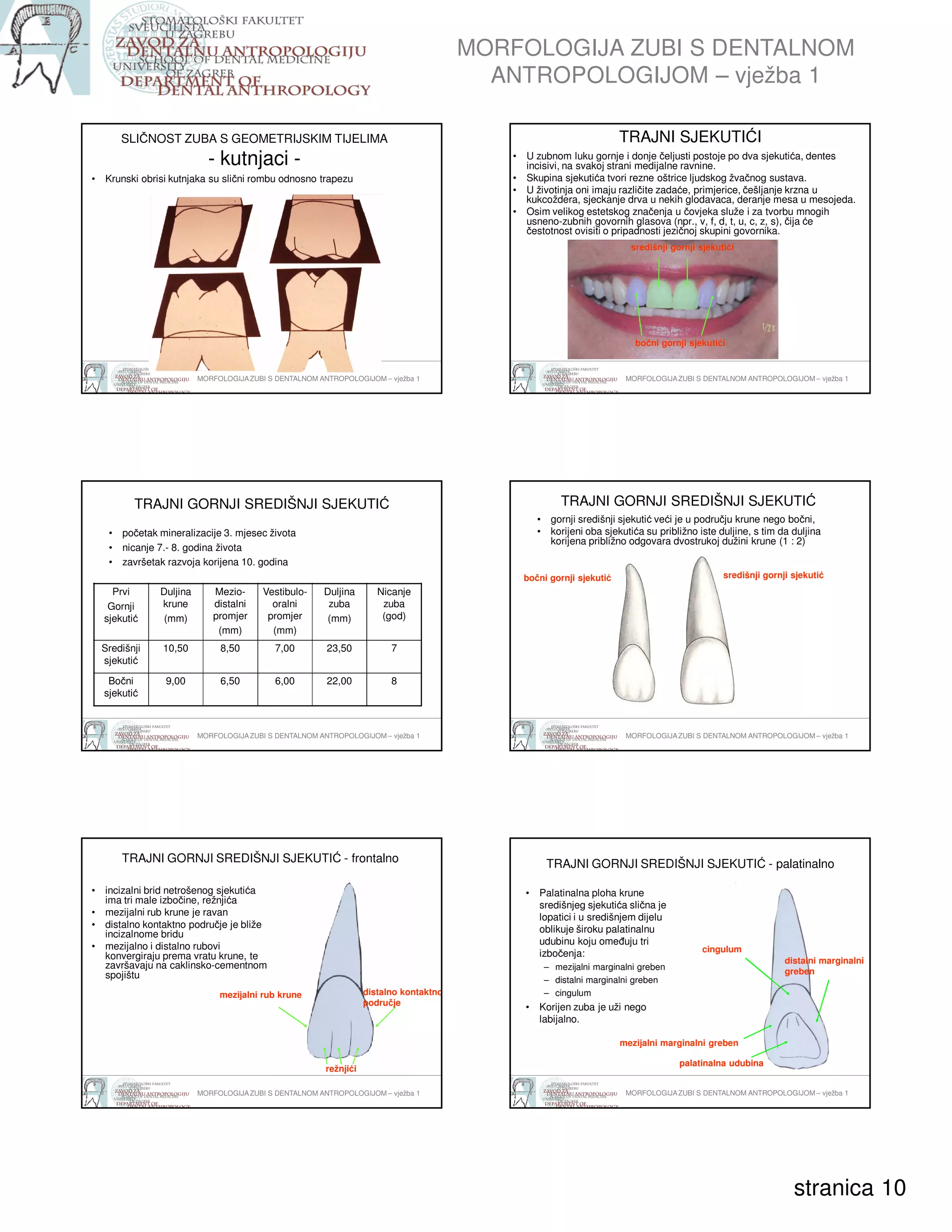 morfologija-vjezba 1 | PDF