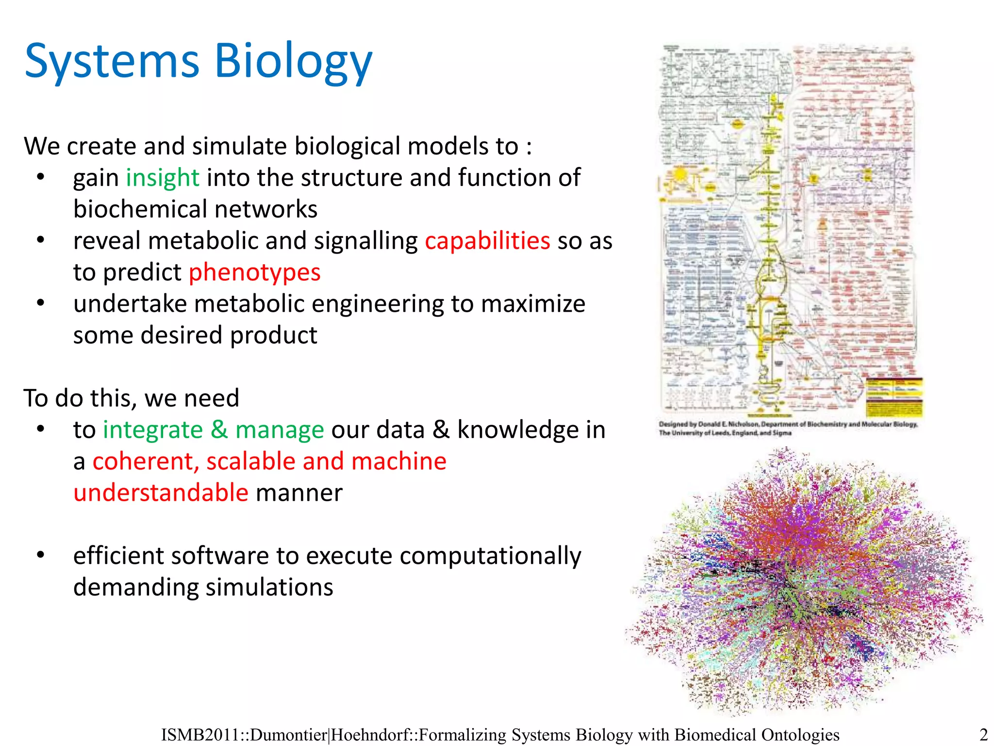 Formal representation of models in systems biology | PPT