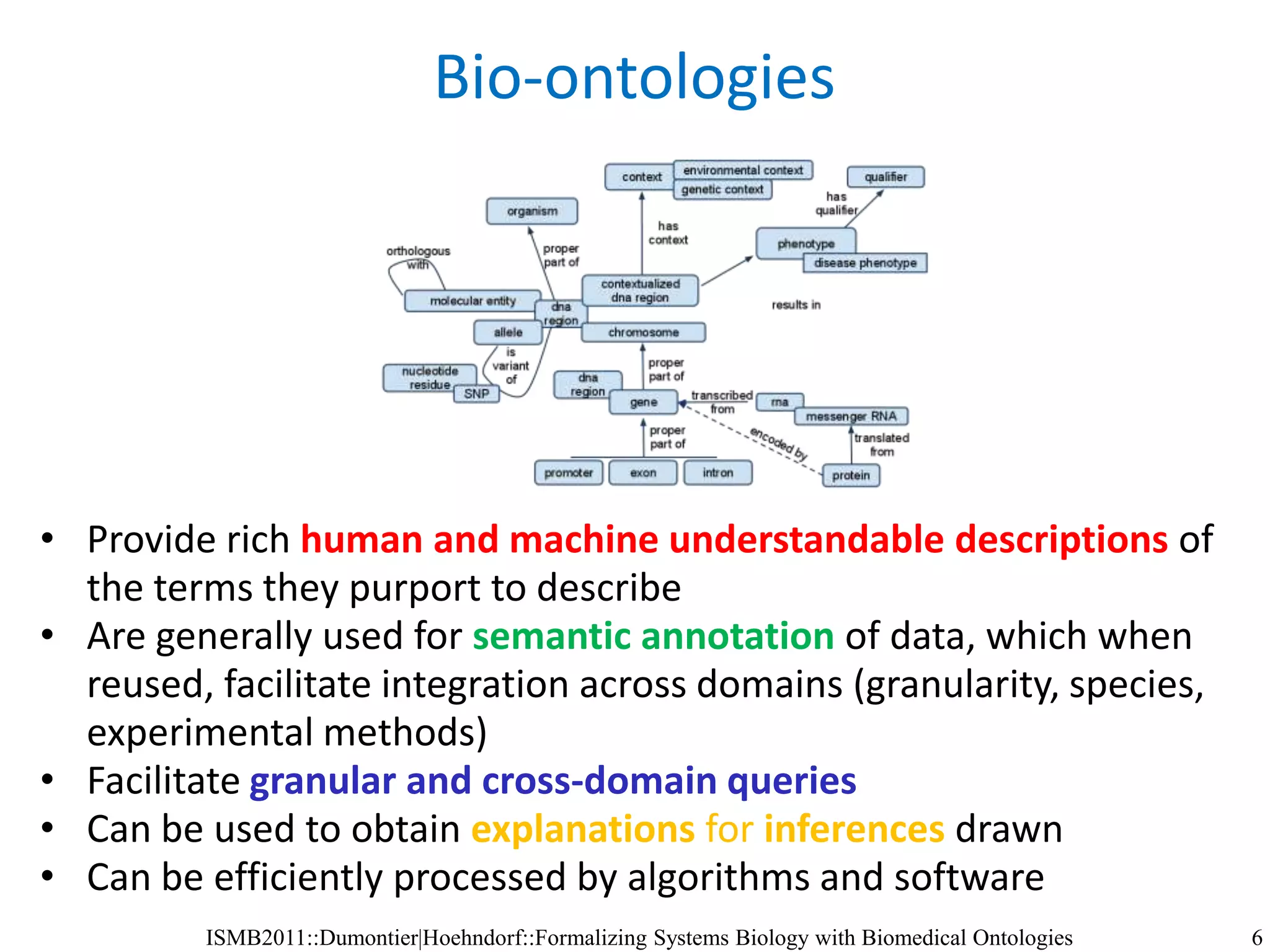 Formal representation of models in systems biology | PPT
