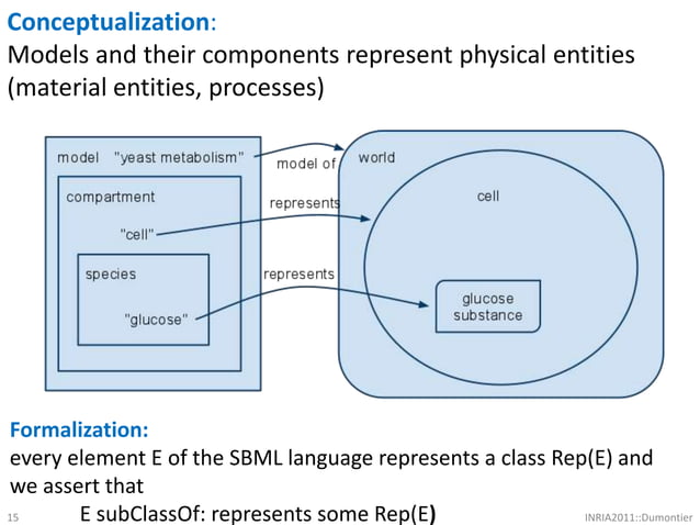 Formal representation of models in systems biology | PPT