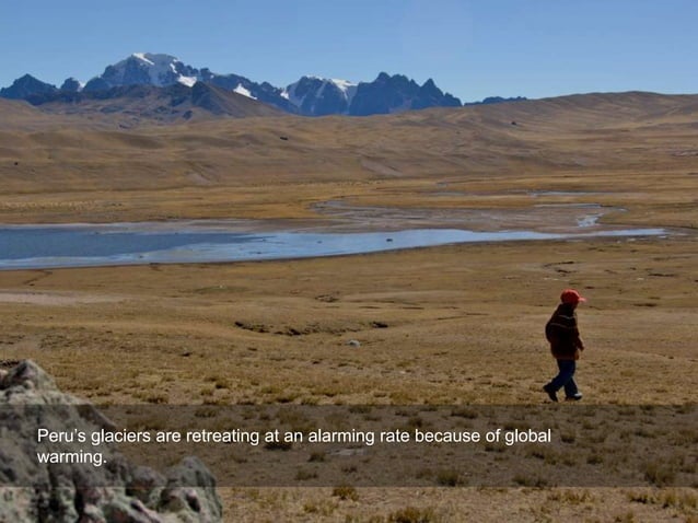 PROEXPOSURE Alpaca capital of the world | PPT