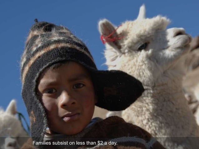 PROEXPOSURE Alpaca capital of the world | PPT