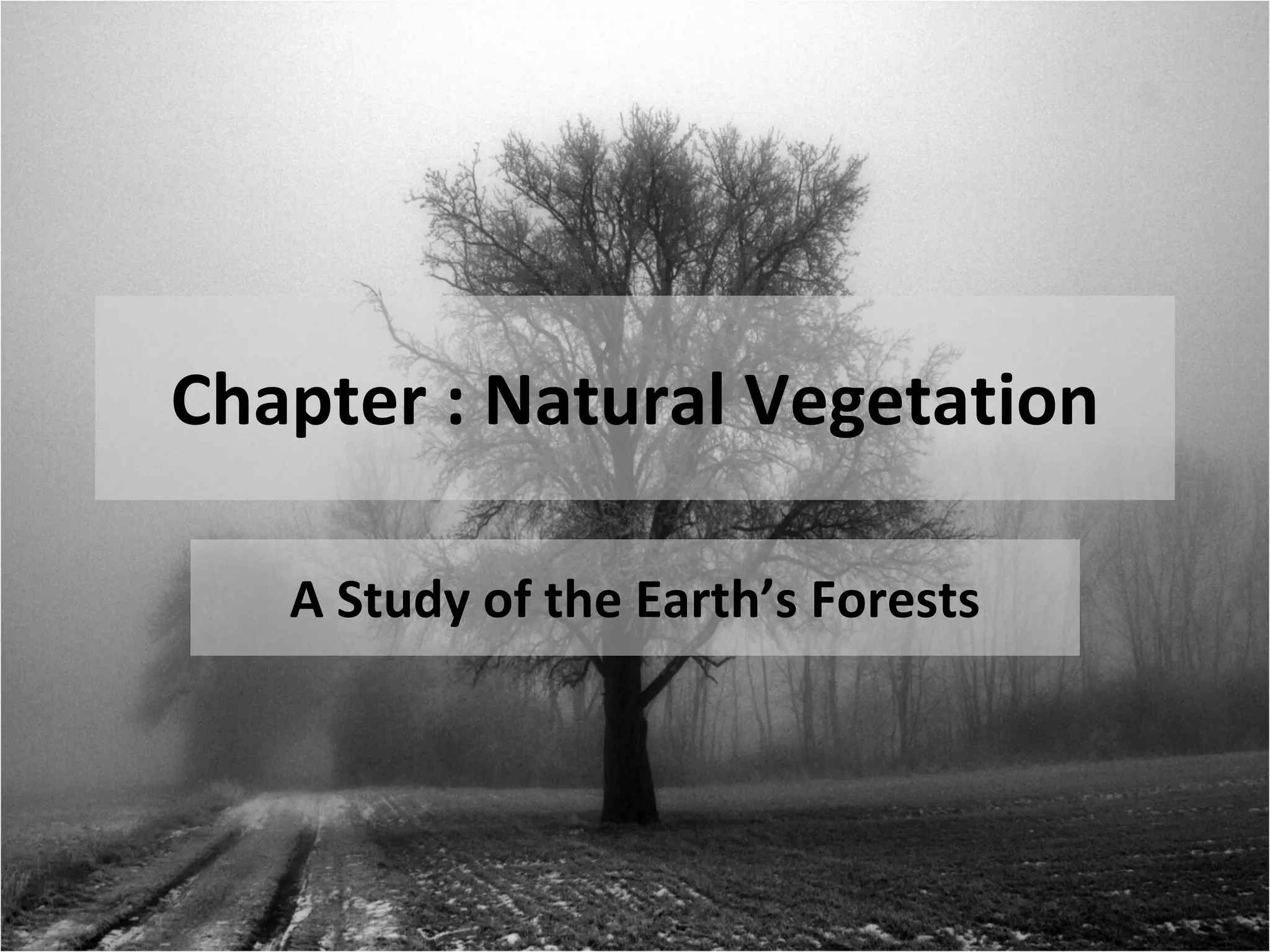 2011 sec 3 elective geography chapter 03 • types of natural vegetation ...