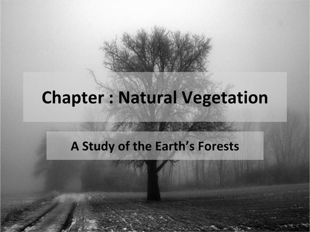 2011 sec 3 elective geography chapter 03 • types of natural vegetation ...