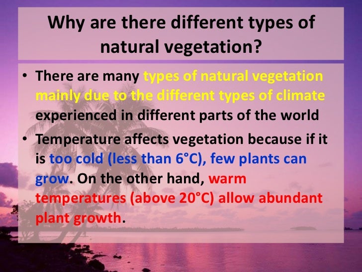 Vegetation Meaning