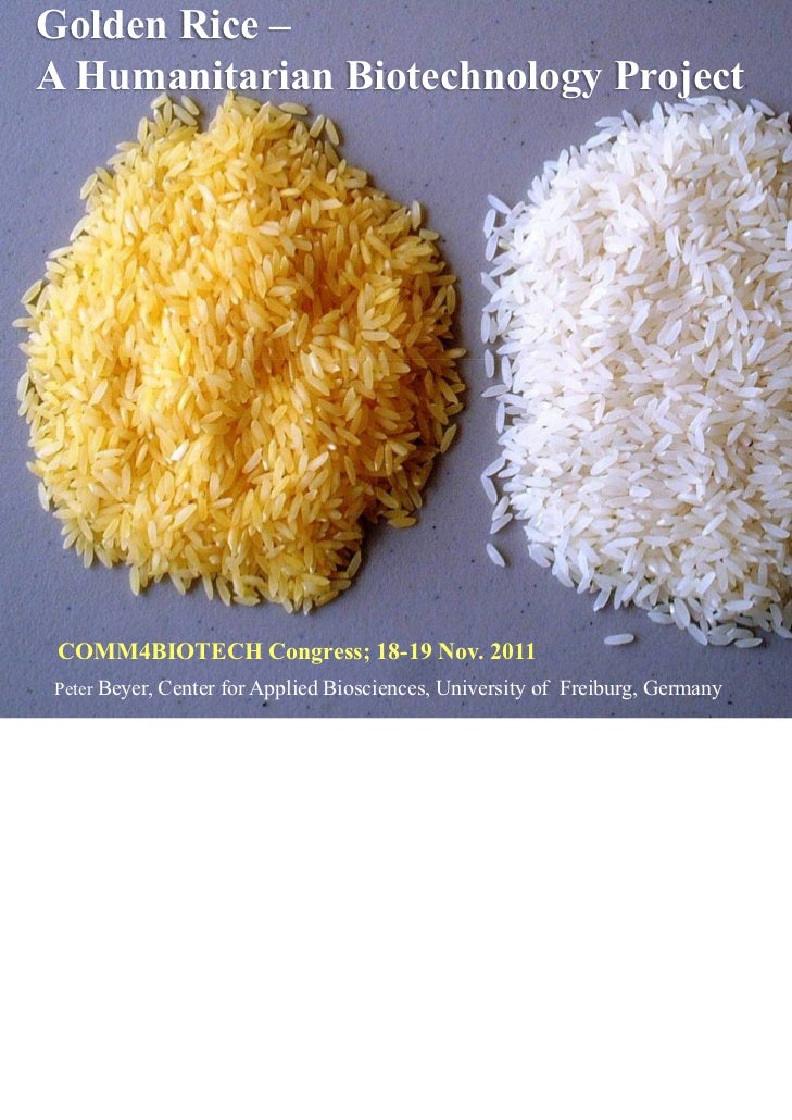 Golden Rice – A Humanitarian Biotechnology Project