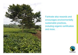 General Overview of the Fairtrade | PDF