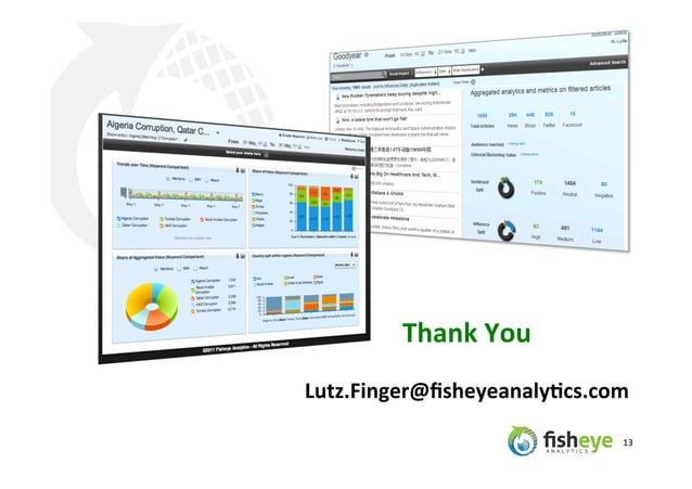 Fisheye Analytics | PDF