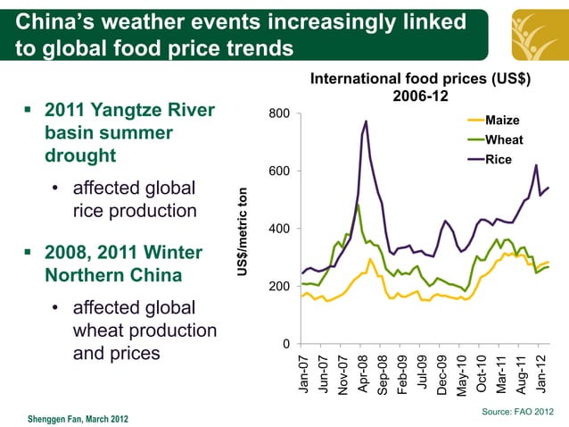 Rising role of china in global food security | PPT