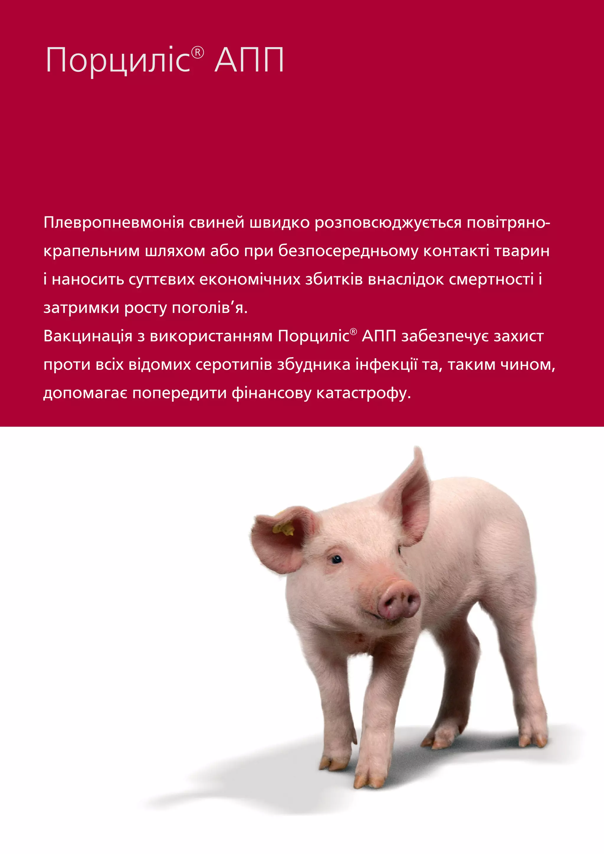 2012 08-01 porcilis-app_ua_v2_prw | PDF