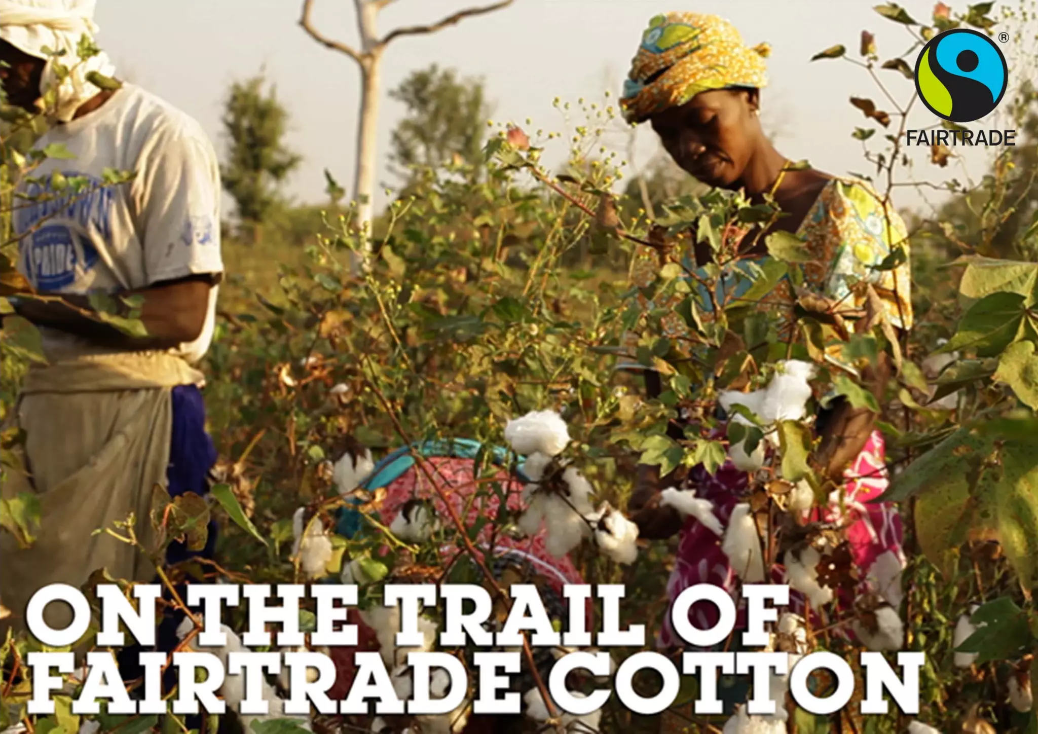 On the Trail of Fairtrade Cotton | PPT