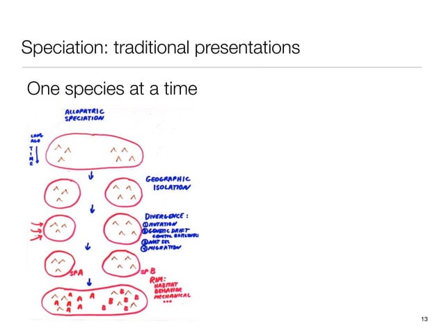 The hierarchy theory view of speciation | KEY | Biological Sciences | Science