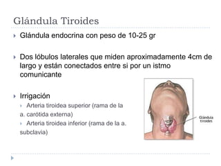 Evaluacion preoperatoria en enf tiroidea | PPTX