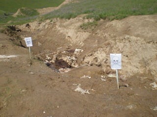 THE POISONS, DESCENDING OF ECOLOGY AND BIODIVERSITY IN PICTURES | PPT