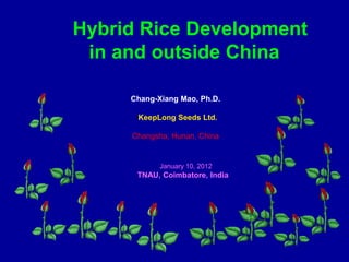 2012. chang xiang mao. hybrid rice development in and outside china | PPT