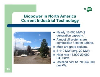 2012-2-1-Biomass-Power-Generation-Resource-Infrastructure-Requirements.pdf