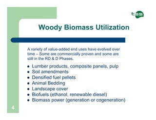 2012-2-1-Biomass-Power-Generation-Resource-Infrastructure-Requirements.pdf