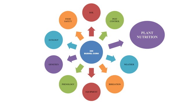 Role of Foliar Nutrition in producing 300 bu of Corn | PPT