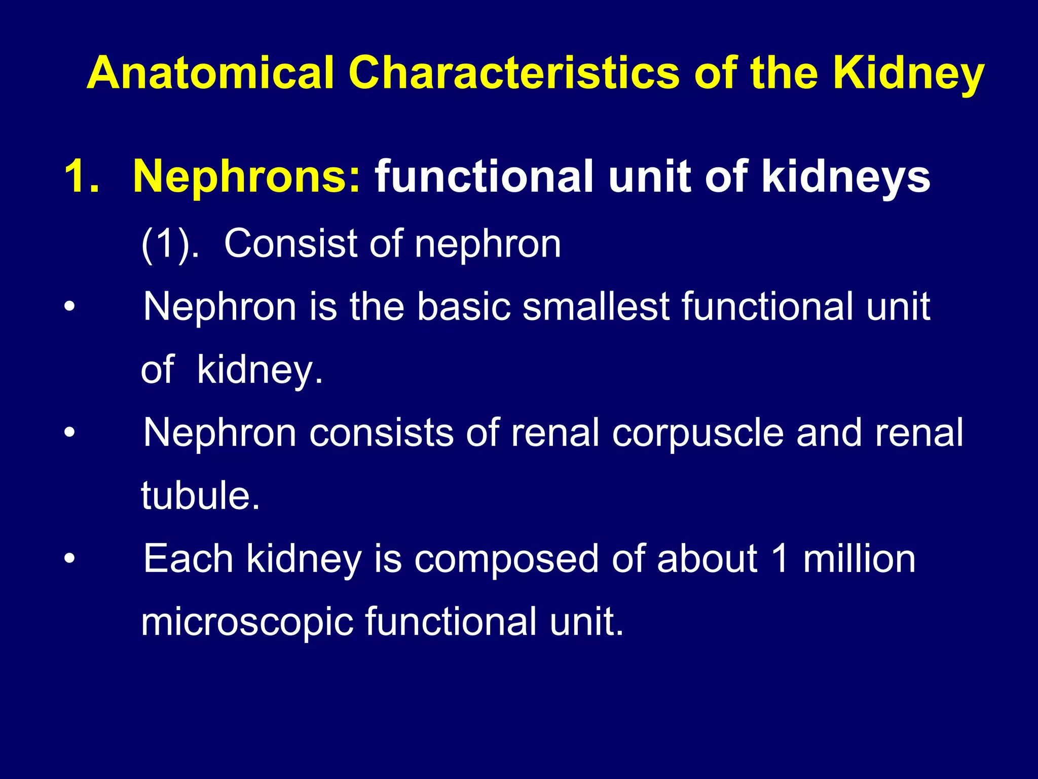2012 4-16 renal physiology | PDF