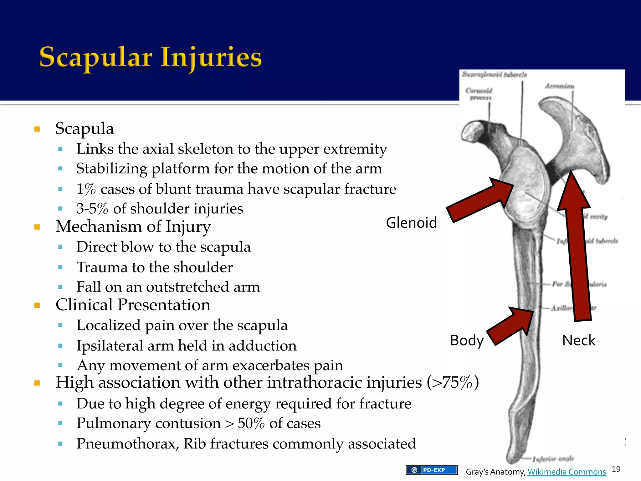 GEMC: Upper Extremity Injuries: Shoulder, Elbow and Wrist: Resident ...