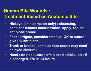 Antibiotics For Human Bite Wounds