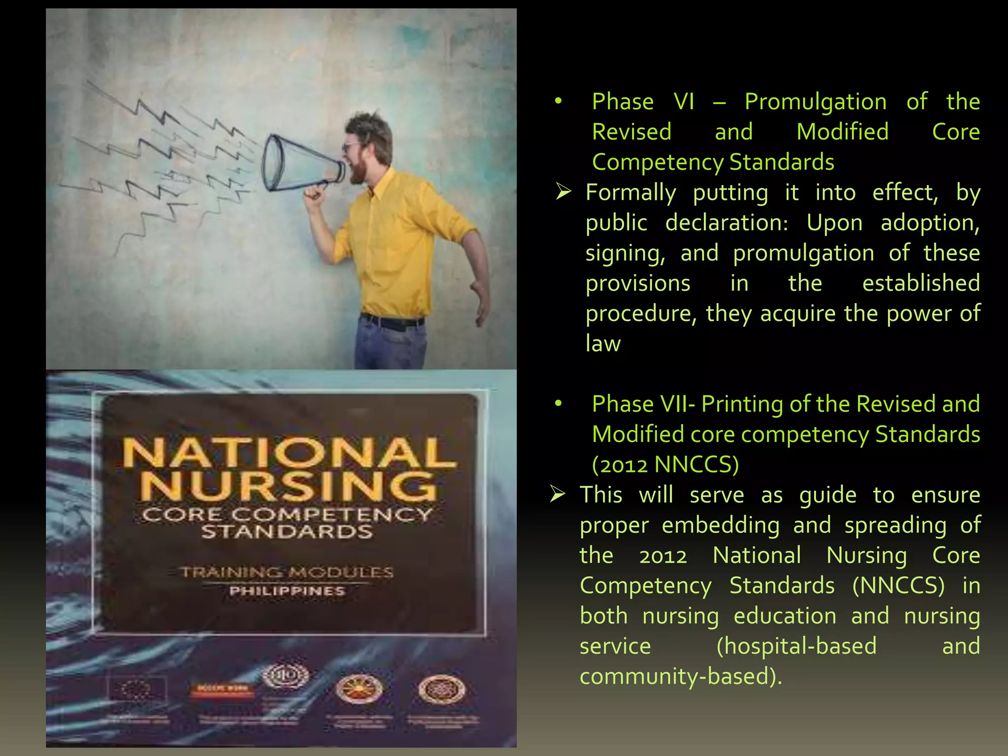 2012-NATIONAL-NURSING-CORE-COMPETENCIES-STANDARDS-report.pptx