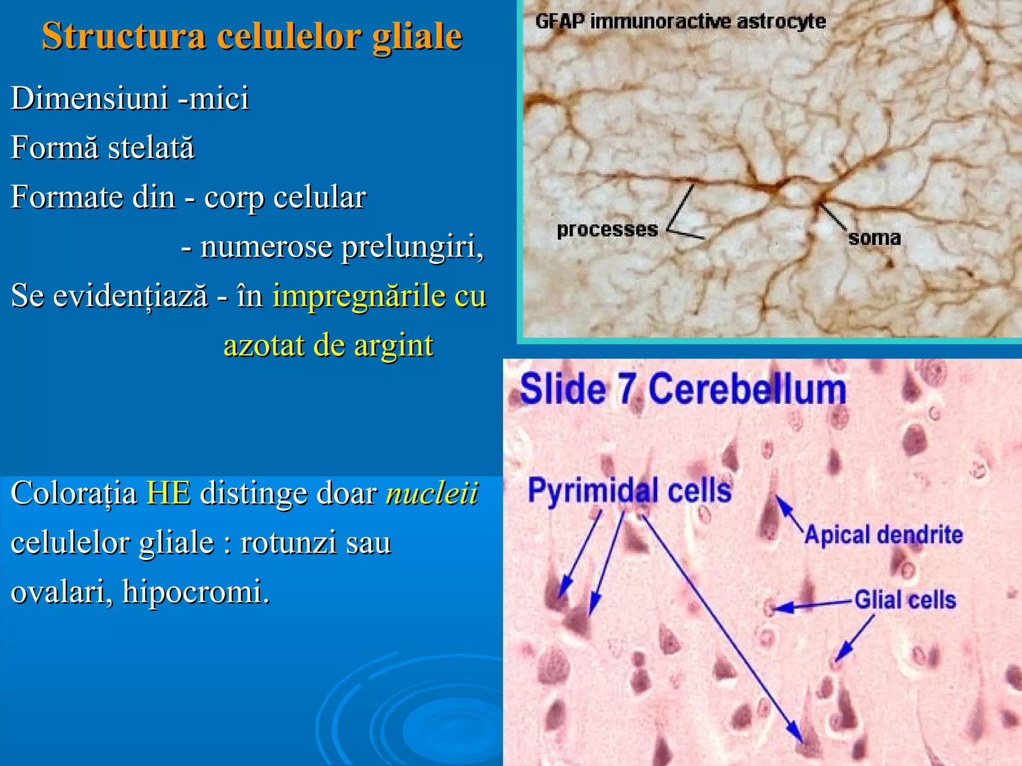 2012 tesut-nervos | PPT