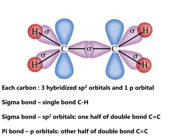2012 Orbital Hybrization, Sigma and Pi Bonds | PPTX | Chemistry | Science