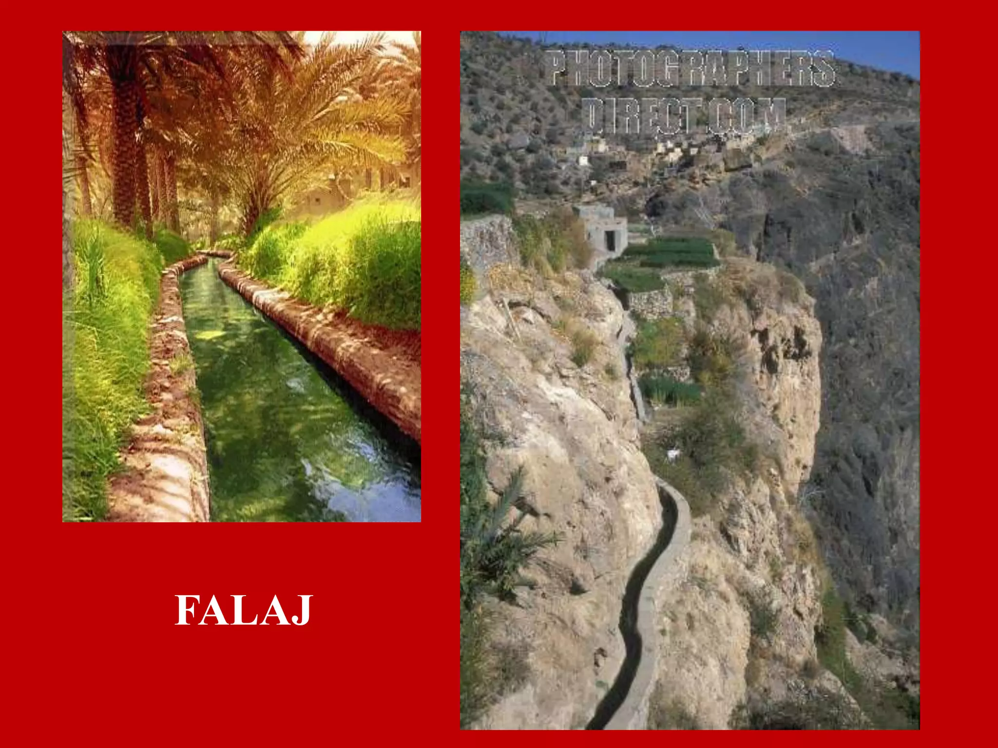 2012 - Tosi - Muscat - Materials for a History of consanguinity in Oman ...
