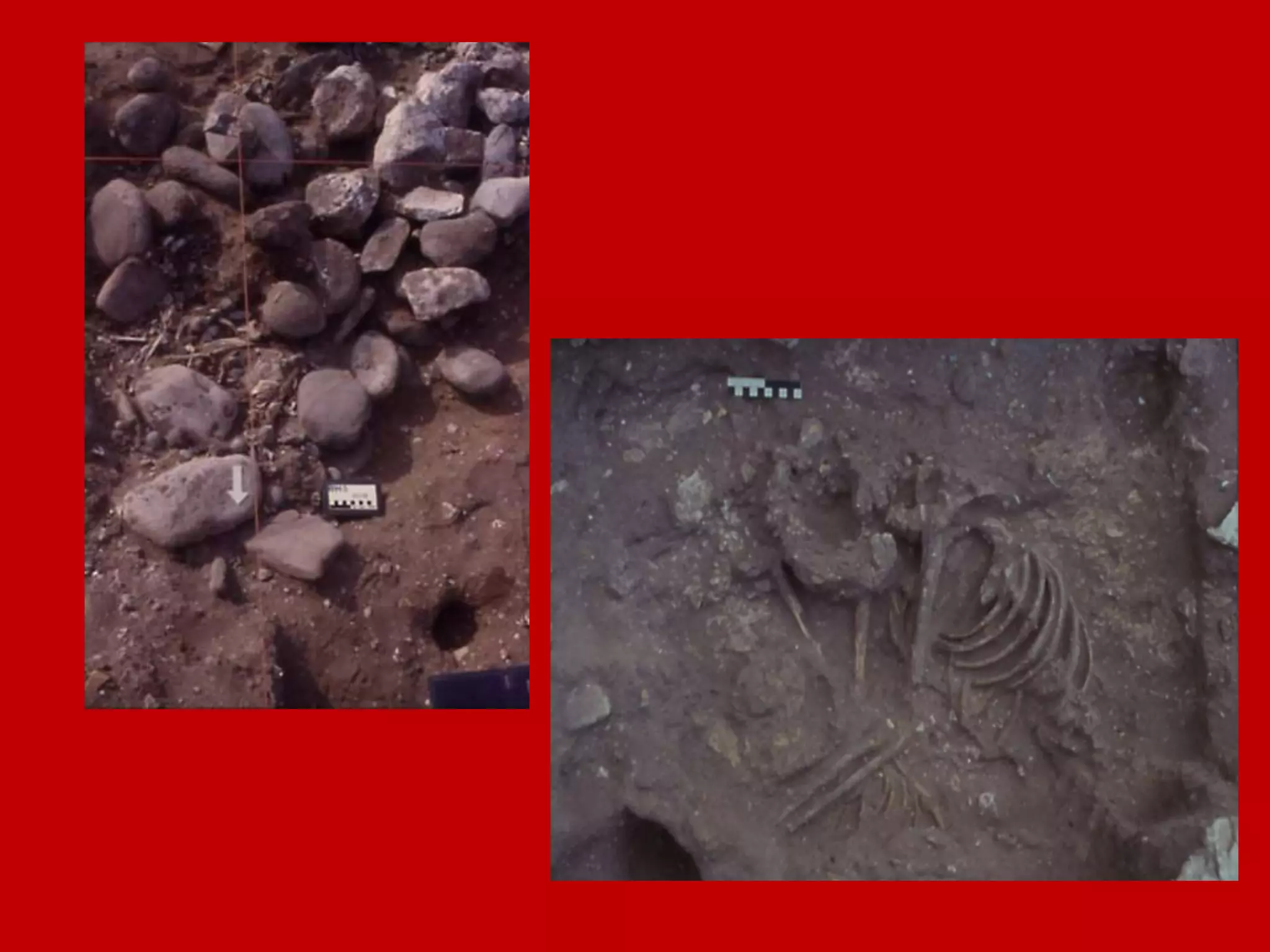 2012 - Tosi - Muscat - Materials for a History of consanguinity in Oman ...