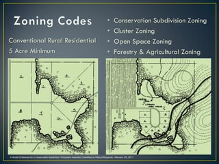 Urban Planning and Conservation | PDF