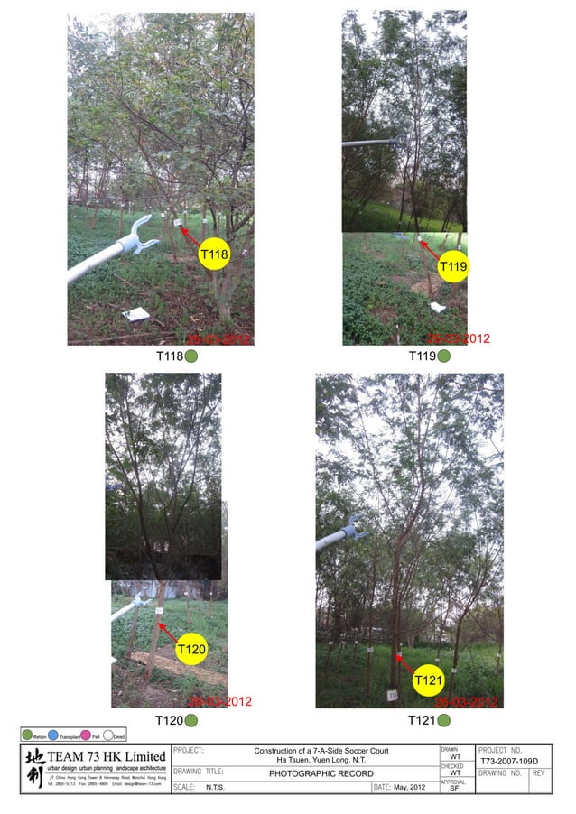 20120503 tree survey report | PDF
