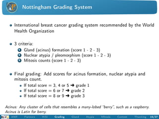 The MICO Project: COgnitive MIcroscopy For Breast Cancer Grading | PDF ...