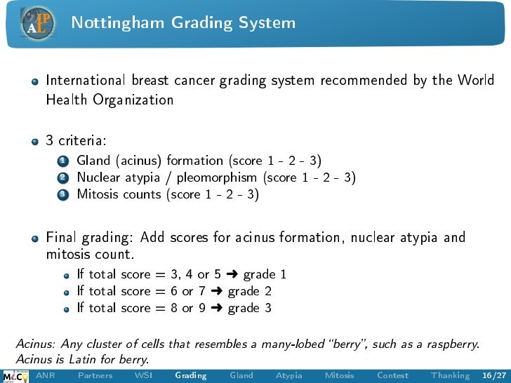 The MICO Project: COgnitive MIcroscopy For Breast Cancer Grading