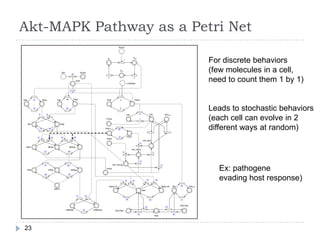 Using Formal Models For Analysis Of Biological Pathways | PPT