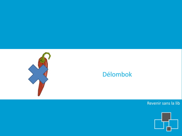 201209 Lombok & Guava | PPT