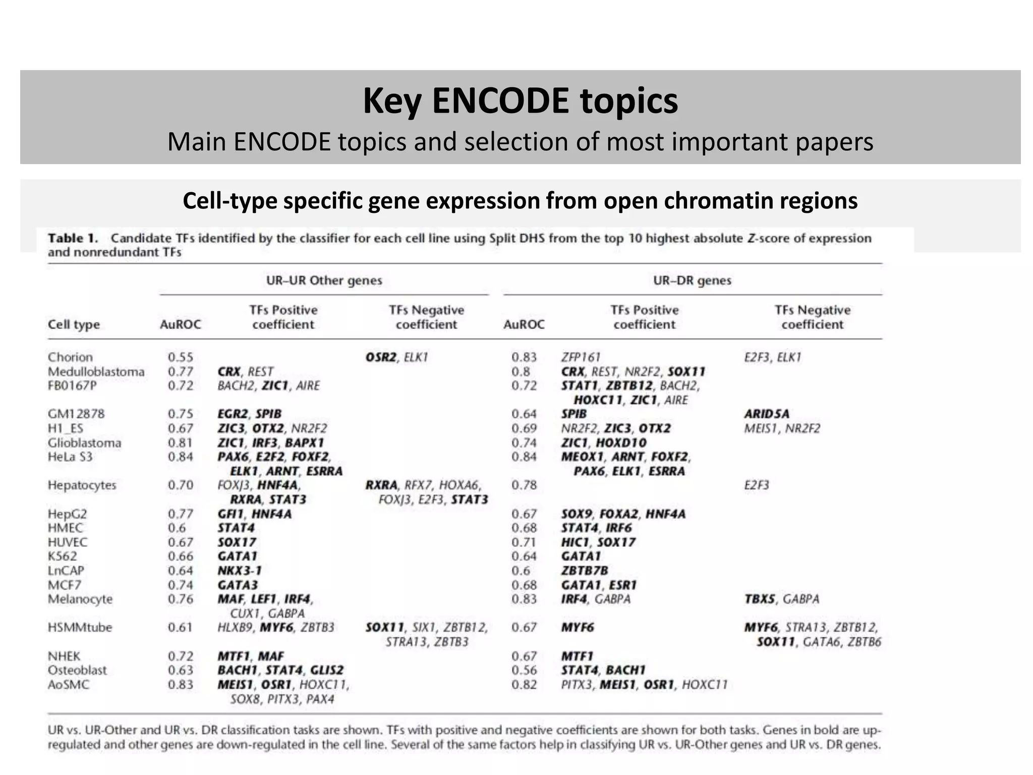 ENCODE project: brief summary of main findings | PPT