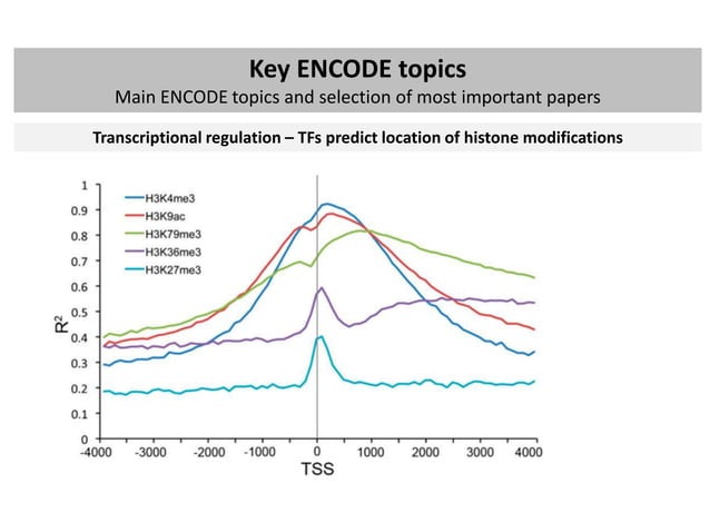 ENCODE project: brief summary of main findings | PPT