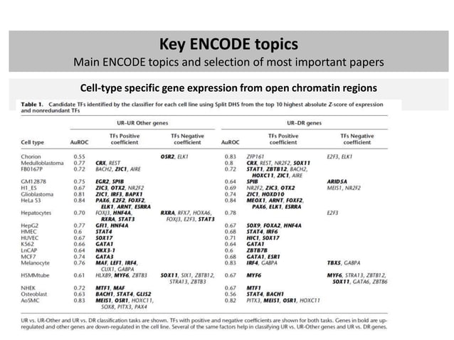 ENCODE project: brief summary of main findings | PPT
